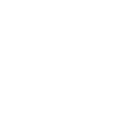 30 Volume Developer: When and How to Use It Safely – Florida Beauty Labs